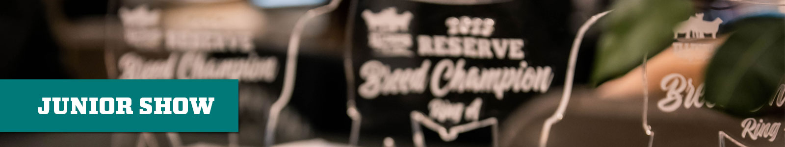 Junior Show - Illinois Beef Expo - Illinois State Fairground